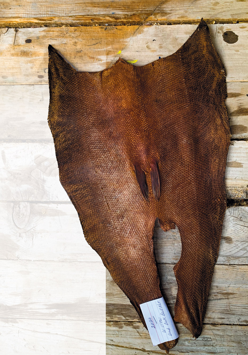 Salmon Skin: June Pardue Reinvents and Reclaims an Important Alutiiq ...