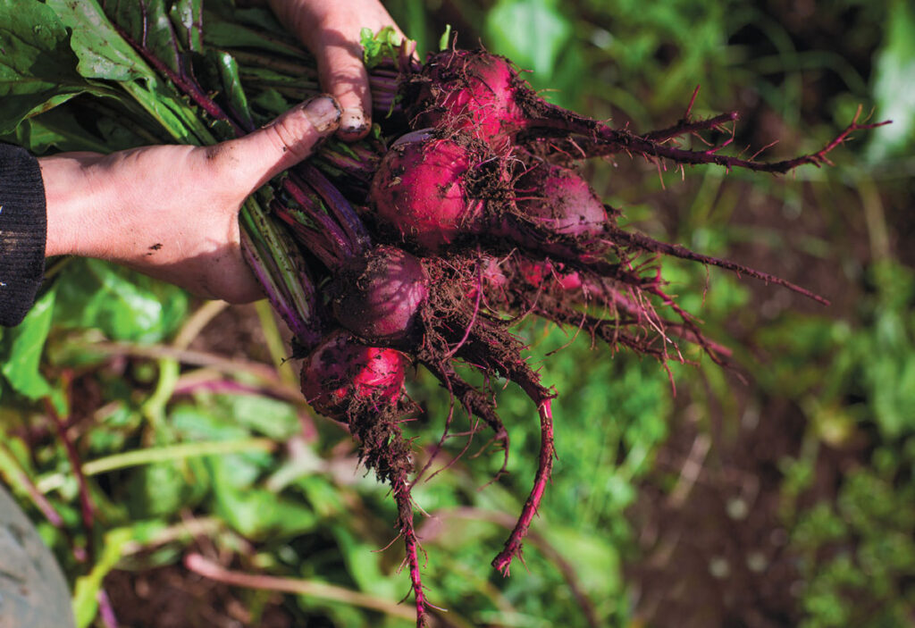 The State of Alaska AG