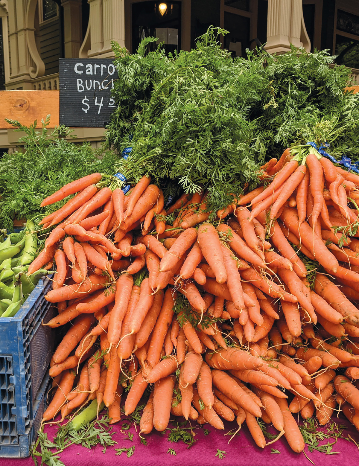 Things to Do - Edible Alaska